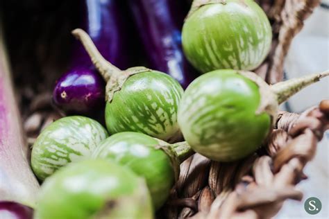 A Guide To Thai Eggplant Healthy Living Sweet New Roots