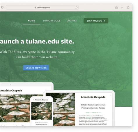 Products Decubing Web Services