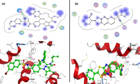 Represented The 2d And 3d Binding Modes Of A Co Crystallized Ligand