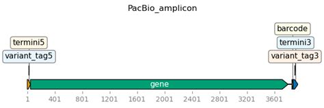 Analyze Pacbio Ccss — Deep Mutational Scanning Of Sars Cov 2 Delta