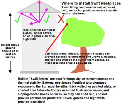 Fitting Swift Nest Places