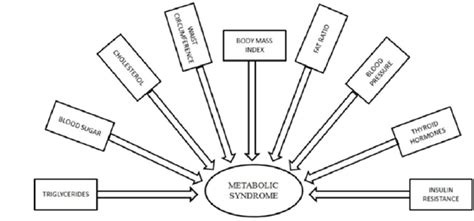 Components Of Metabolic Syndrome Download Scientific Diagram