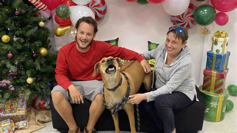 Fundraiser For Thomas Wolgamott By Destiny Arndt Ariane Wolgamott Memorial Fund