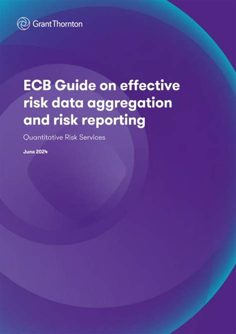 Ecb Guide On Effective Risk Data Aggregation And Risk Reporting Grant