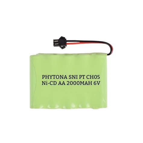 Jual Baterai Cas Mobil Remote Rc Phytona Rangkai 5 800x5 4000mah