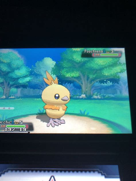 [gen 6] Shiny Torchic After 2356 Resets Get To Start Another Sbq Shinypokemon