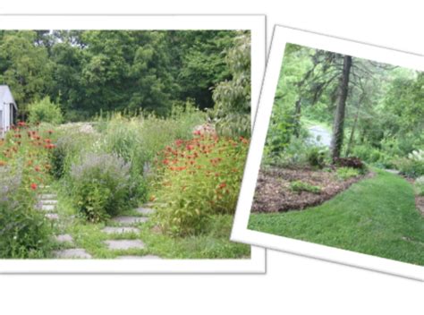 Pollinator Habitat Certification The Center For Pollinator Research