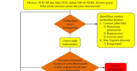 Algoritma Penanganan Atonia Uteri Kti Kebidanan