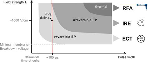 Correlation Between The Electric Field Strength E And The Pulse Width T Download Scientific