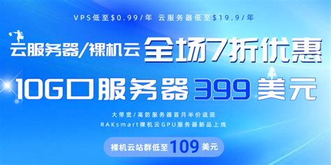 Raksmart国外服务器评测 美国香港日本服务器租用 Raksmart优惠码