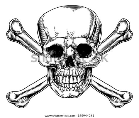 Sceleton Print Over 94 Royalty Free Licensable Stock Vectors And Vector