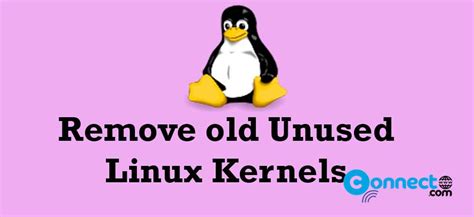 Remove Old Unused Linux Kernels In Ubuntu CONNECTwww