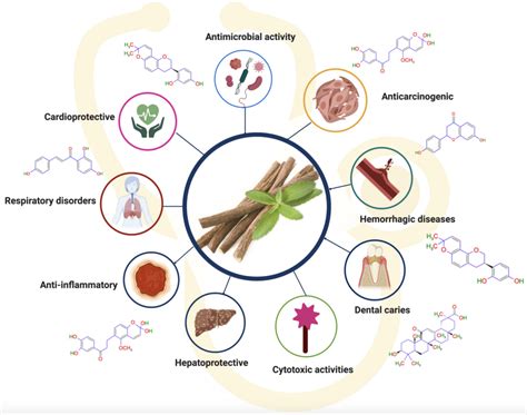 Licorice Root Glycyrrhiza Glabra Herbal Monograph