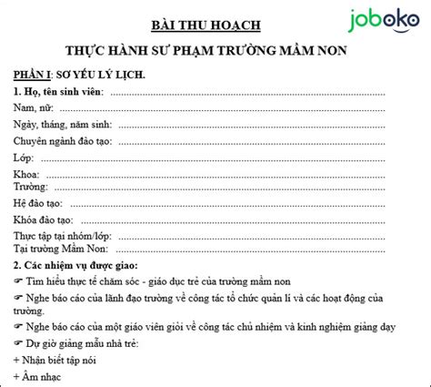 Mẫu báo cáo thực tập