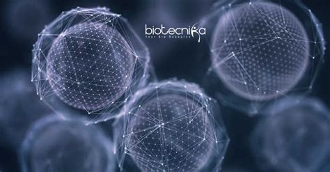 Bharathiar University Research Associate In Biotech And Bioinformatics