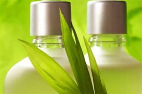 Shampoo Without Sulfate For Oily Hair Reasonable Price Great