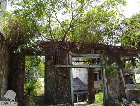 遊記and食記 新北市瑞芳老街：林牙科廖建芳古厝義方商行保雲芋圓（圖多）rueifang Old Street 芥納須彌 只能吃喝玩樂了
