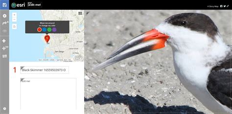 Add Geotagged Photos To Your Web Map