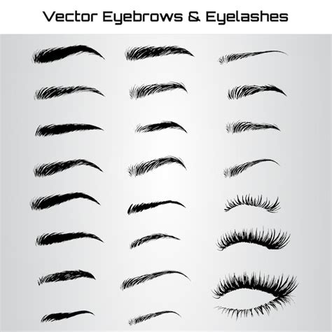 High Resolution Vector Eyebrow Eyelashes Premium Ai Generated Vector