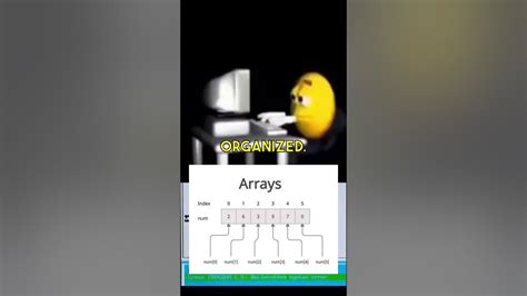 Arrays Shorts Ytshorts Brainrot Computerscience Programming