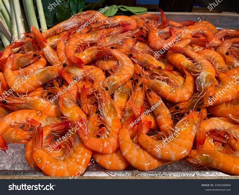 6766 트릭킹 이미지 스톡 사진 및 벡터 Shutterstock