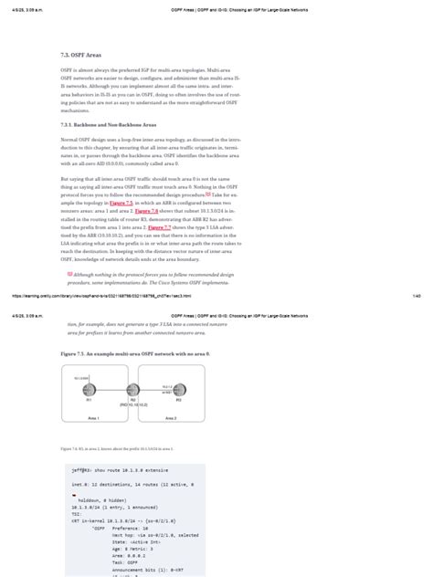 Ospf Areas Ospf And Is Is Choosing An Igp For Large Scale Networks