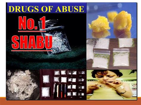 National Drug Education Program Ndep 2022 Pptx