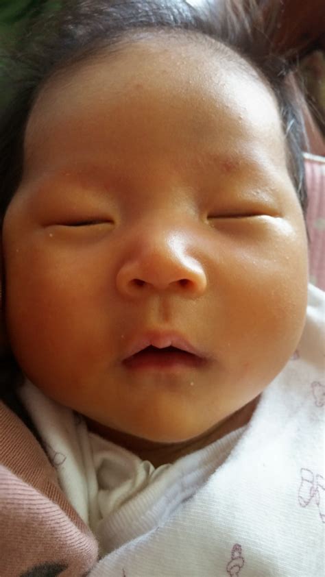 네이버 인플루언서