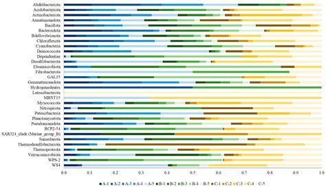Bacterial Community Structure and Patterns of Diversity in the Sediments of Mountain Rock Basins ...