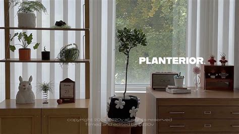 🪴초보 식집사의 따뜻한 식물존 만들기🍀┃플랜테리어┃우드인테리어┃식물꾸미기┃planterior Youtube