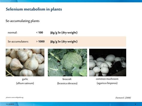 Ppt Selenium In Nutrition And Toxicity Powerpoint Presentation Free Download Id 2957940