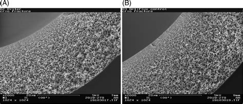 The Cross‐section Scanning Electron Microscopy Sem Images A