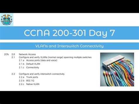 Free CCNA VLANs And Interswitch Connectivity Day Day CCNA Course Series YouTube