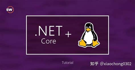 如何在 Linux 服务器上部署 Net Core 应用程序 知乎