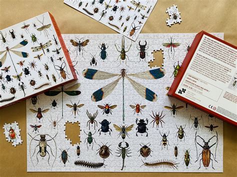 Penny Puzzle Bugs And Beetles 1000 Teile Puzzle Penny Puzzle Bugs And Beetles 1000 Teile Puzzle