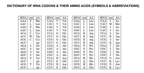 Solved Sequence Tac Ata Act Tac Tag Tta Cta Atc Tat Aga Att Tac Cga Ccc Course Hero