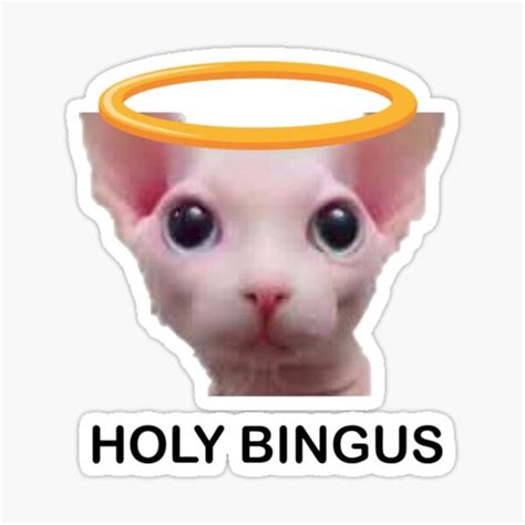 Bingus Cat High Quality Sticker For Sale By Mgtrip Redbubble