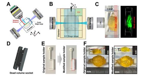 Callforreading Recommendations Free Methods Protocols Fluorescence Microscopy Mouse