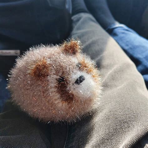 ⚡️세가⚡️ On Twitter 대구 가는 너구리