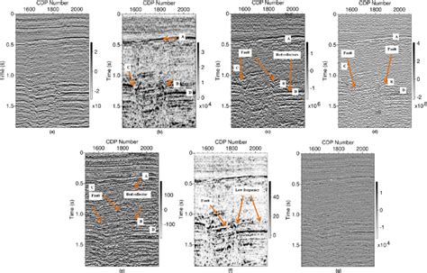 Results Of The Complex Analysis A Is Input Stack Image B Is The Download Scientific