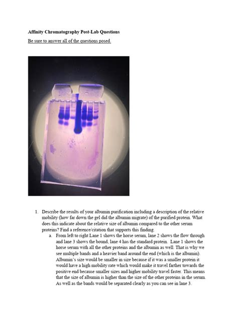 Post Lab Questions Pdf Chromatography Protein Purification
