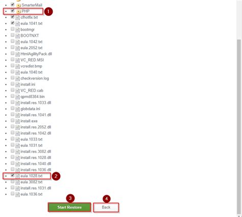 utilizing the file restore function to manage backups wcp server