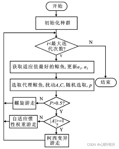 基于自适应权重和柯西变异的鲸鱼优化算法 Csdn博客
