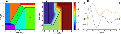 Predicted Phenotype Characteristics In Design Space A Visualization Of