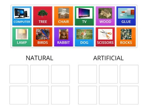 Natural And Artificial Elements Group Sort Natural And Artificial Elements Group Sort