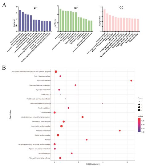 Transcriptomic And Lipidomic Characteristics Of Subcutaneous Fat Deposition In Small Sized Meat
