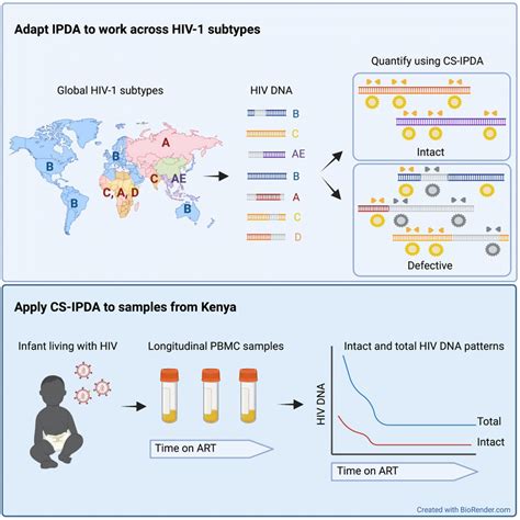 hiv reservoir quantification using cross subtype multiplex ddpcr