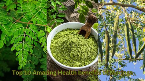 Top 10 Amazing Health Benefits Of Moringa