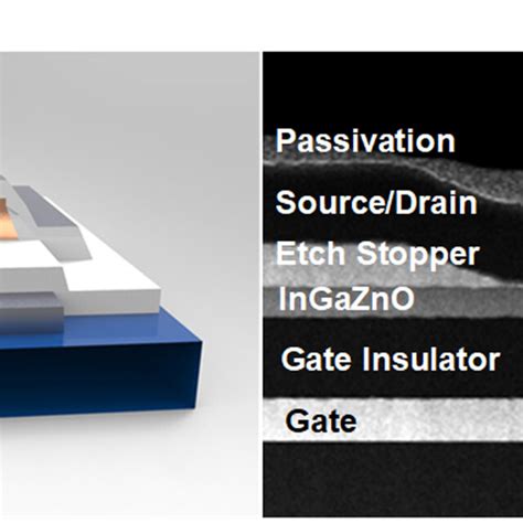 A Schematic Depiction Of Bottom Gated A Igzo Tft B Cross Sectional Download Scientific