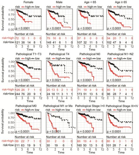 Subgroup Km Analysis In High Or Low Risk Group Patients Of Tcga Coad